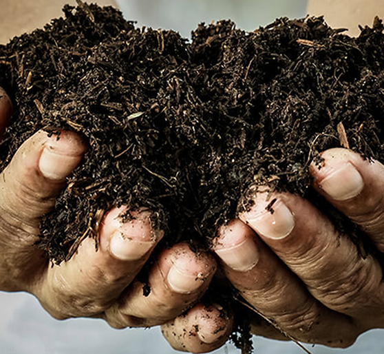 व्यापार प्रक्रिया प्रबंधन सॉफ्टवेयर (ERP)